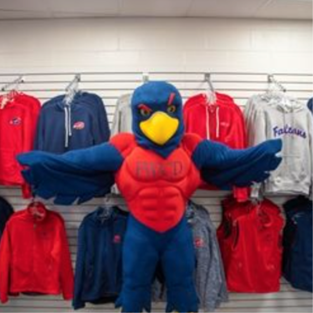 New, Improved Campus Store Opens | News | Fort Worth Country Day